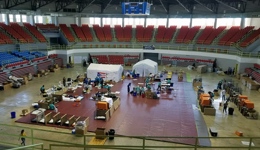 A Triumph Birthed by Tragedy